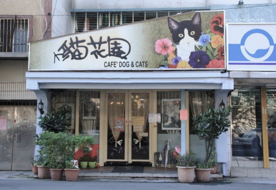 Animal Cafes Around Seoul – myHUBS