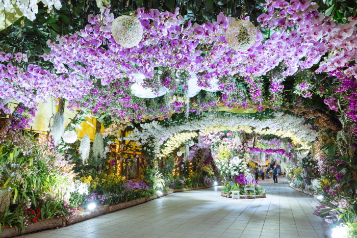 Goyang International Flower Festival – myHUBS